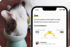 Catlog Series | Catlog