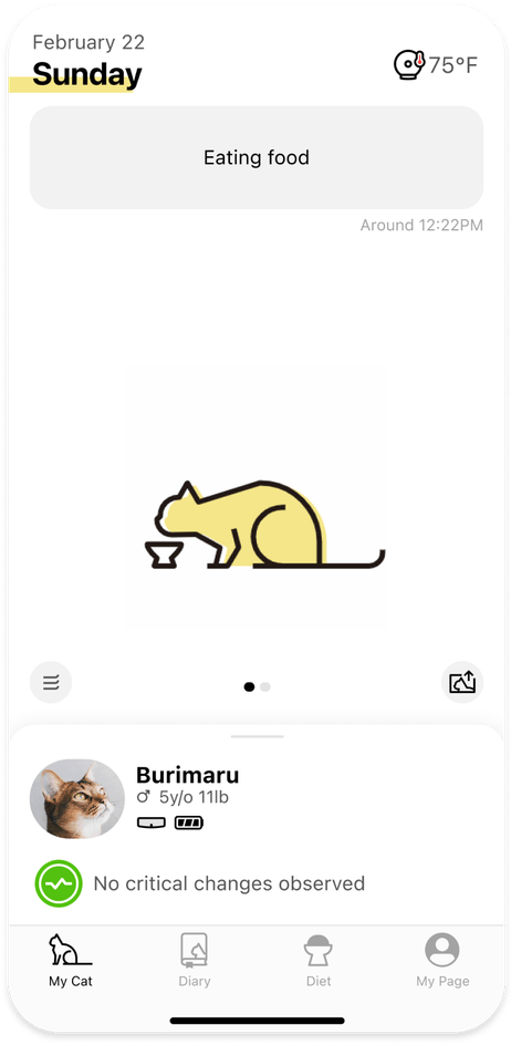 Catlog Series | Catlog Catlog Series | Catlog