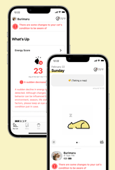 Catlog Purchase | Catlog