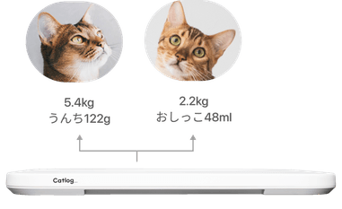 Catlog Boardの購入 | Catlog