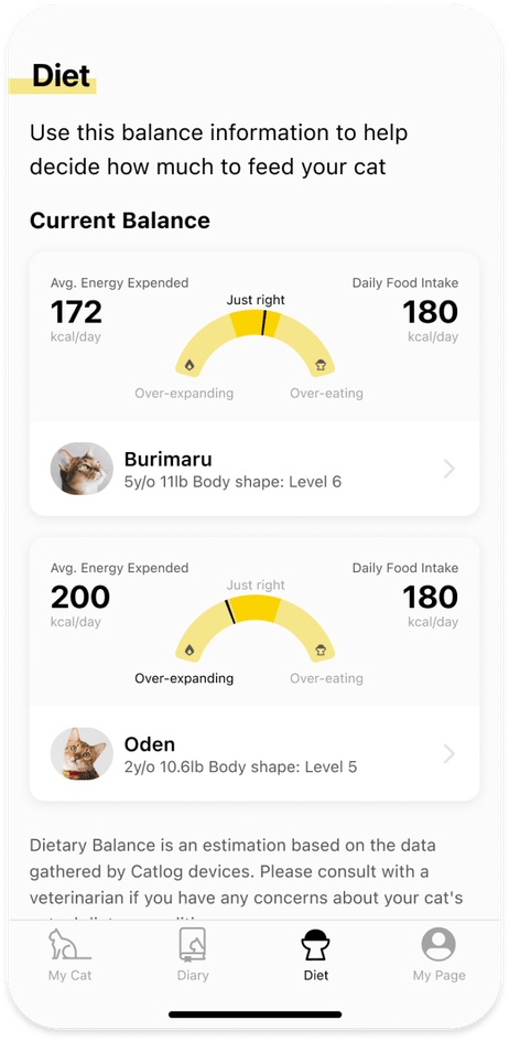 Catlog Series | Catlog