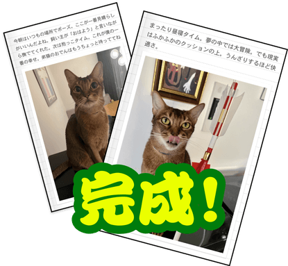 【Catlog / キャトログ】猫の日 2024 | Catlog