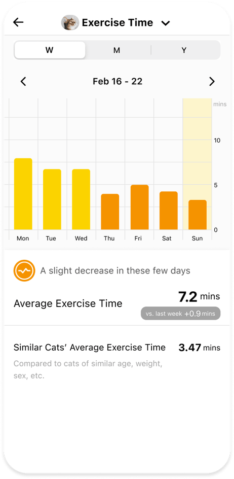 Catlog Series | Catlog
