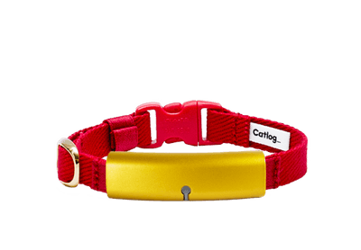 Catlog Series | Catlog